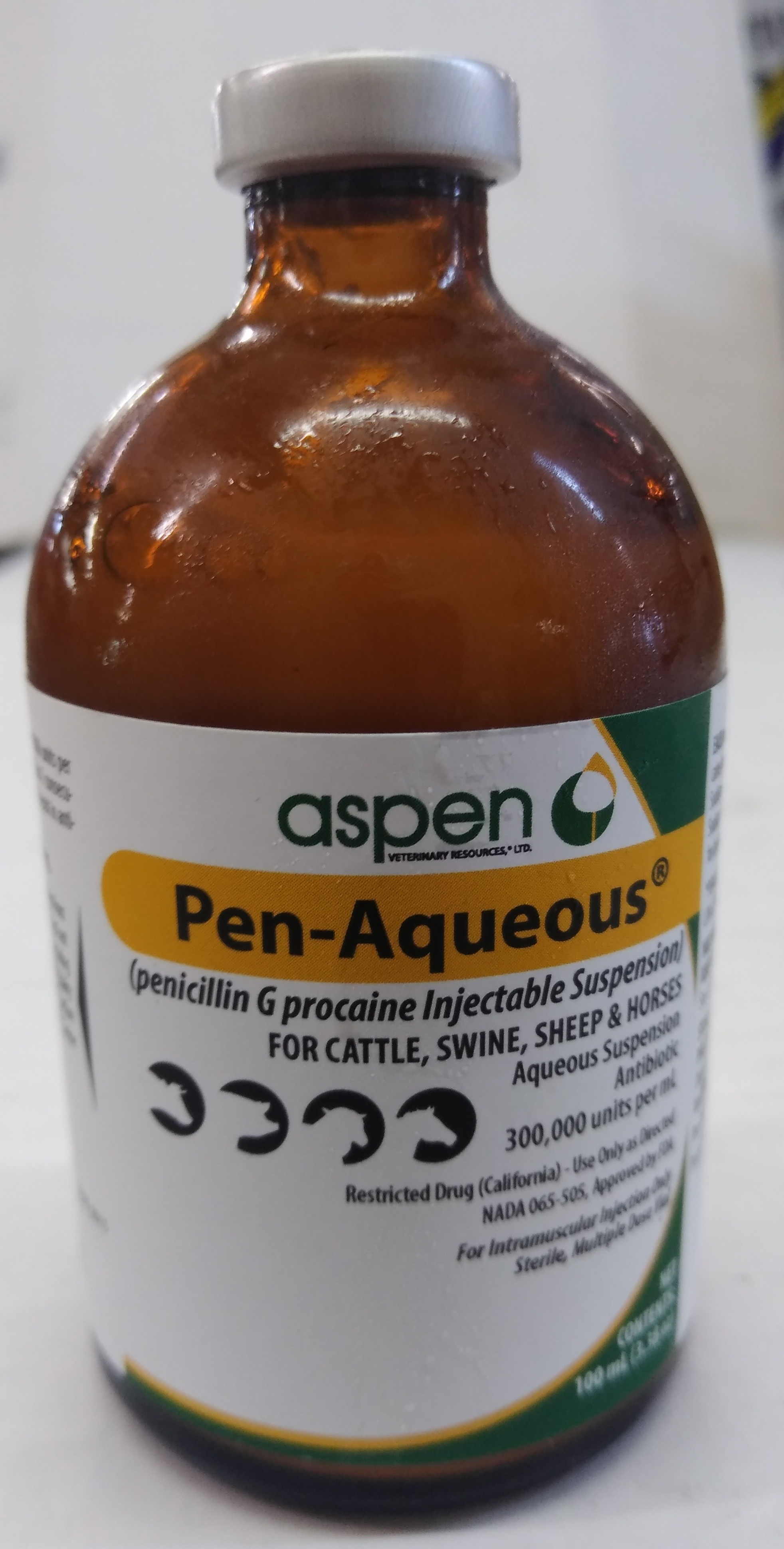 Aqueous Penicillin G Ubicaciondepersonascdmxgobmx