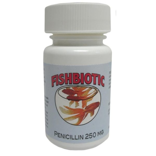 Fishbiotic Penicillin 250 MG - Huber's Animal Health