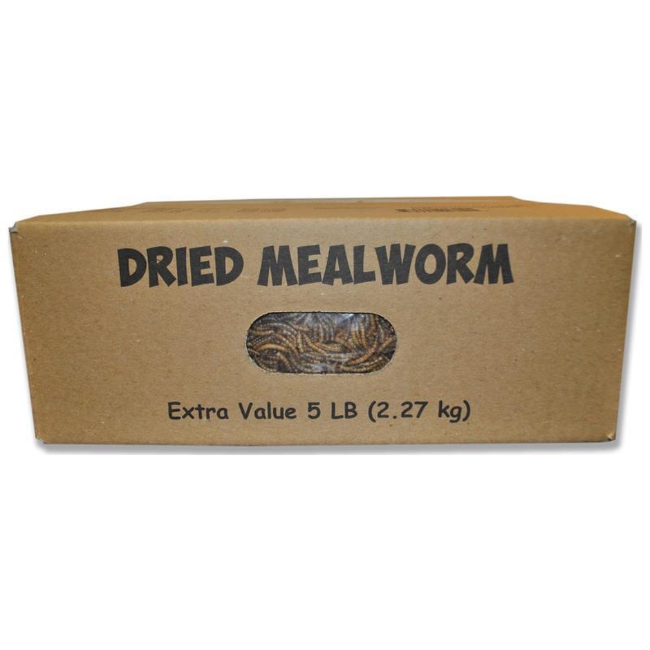 Meal Worm 5 LB - Huber's Animal Health