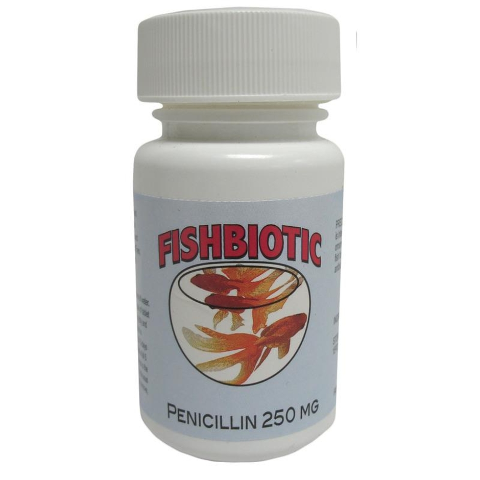 Penicillin Capsules 250 MG 60 CT - Huber's Animal Health