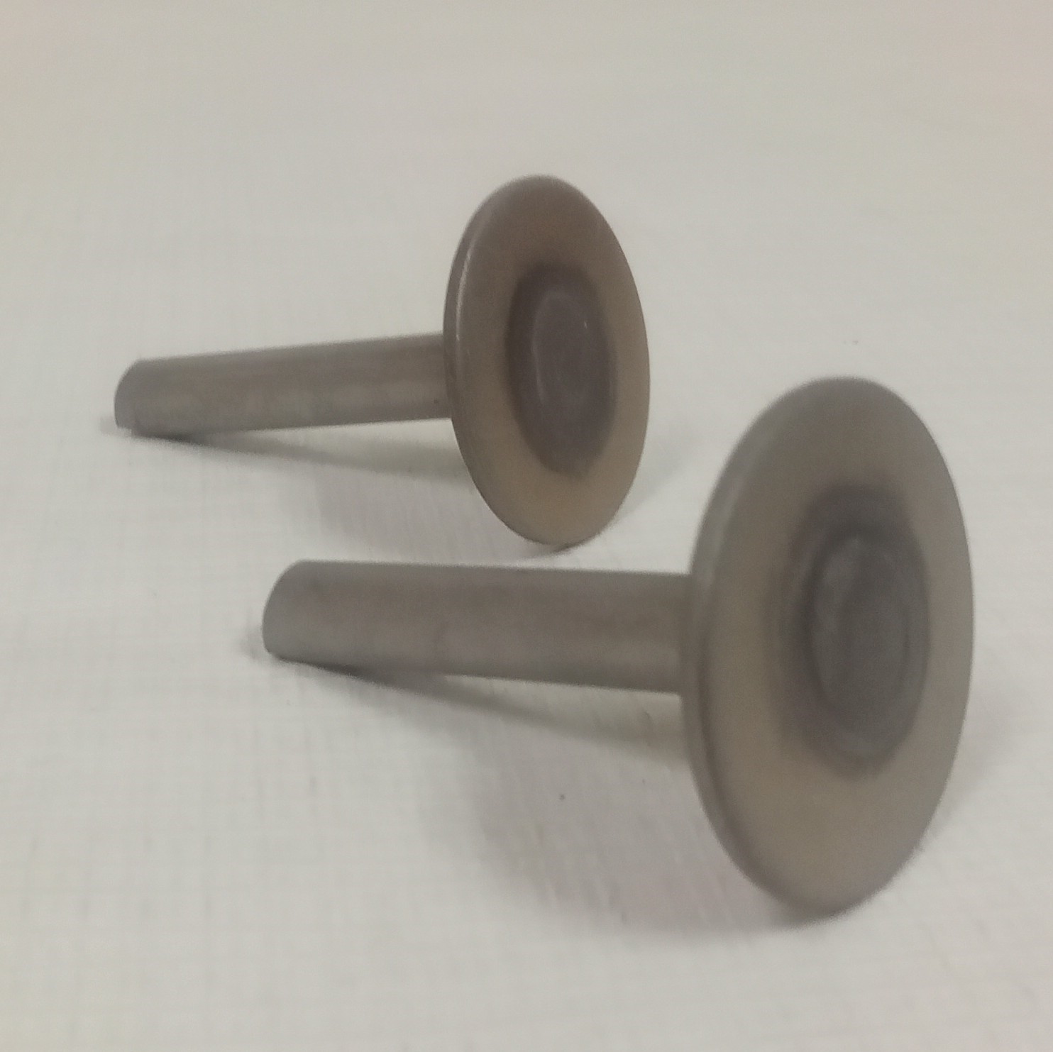Carpet Pins F/ Whelping Den - Huber's Animal Health