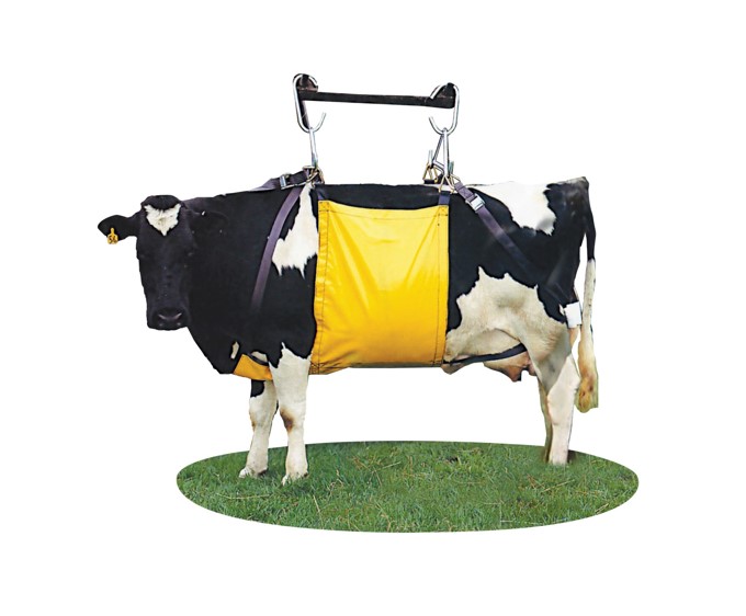 Easy Cow Lifter Sling - Huber's Animal Health