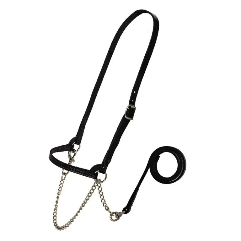 Dairy Show Halter Extra Small Black - Huber's Animal Health